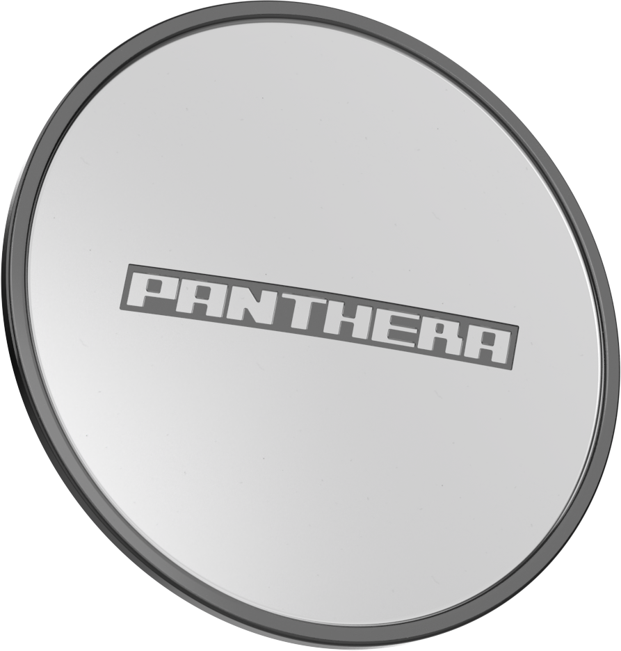 RETRO SS CAP – PANTHERA WHEELS